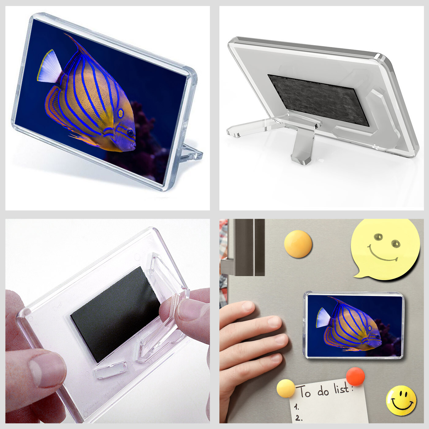 Blue-ring Angel Fish Classic Fridge Magnet - Coral Reef Tropical Gift ...