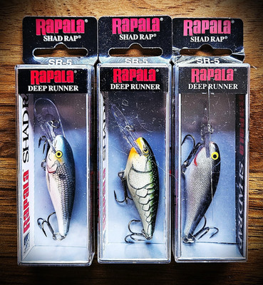 Rapala Shad Rap SR-5 3-Pack - Great Colors & Low Price - Super Fast ...