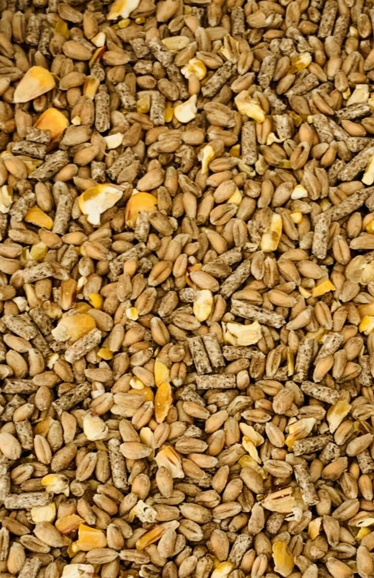 20Kg Mixed Corn with Layers Pellets for hens and ducks,-FREE DELIVERY ...