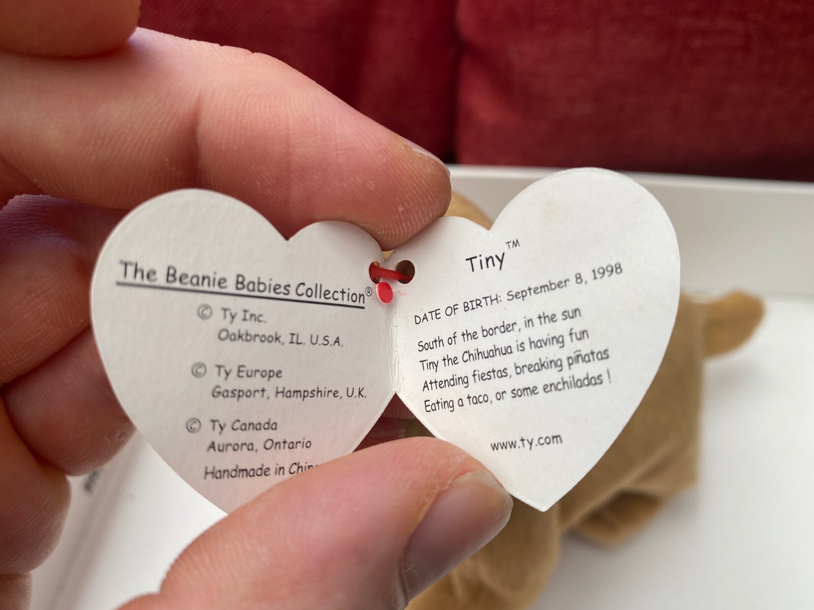 Ty Beanie Baby 1996 Pouch the Kangaroo NEW | eBay