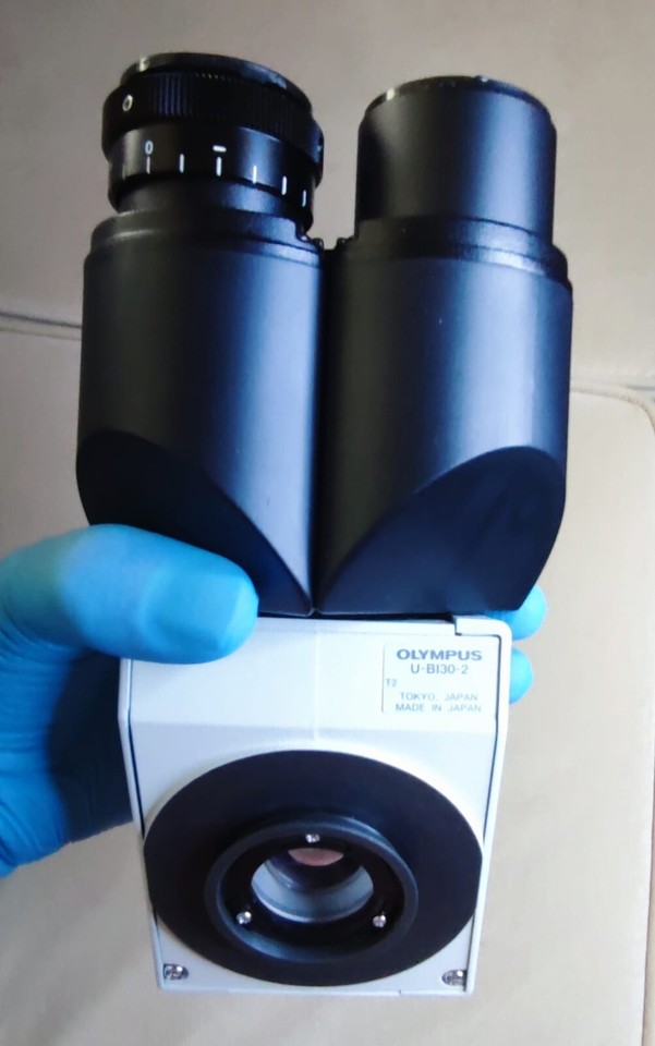 Olympus U-BI30-2 Binocular Head for BX, IX Series Microscopes ...
