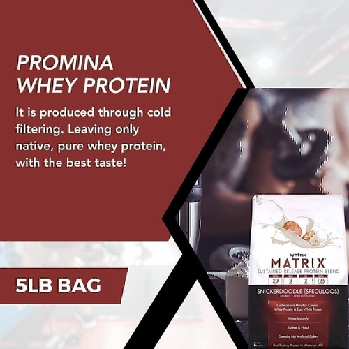 Syntrax Matrix Casein and Whey Protein Powder - Snickerdoodle Flavor ...