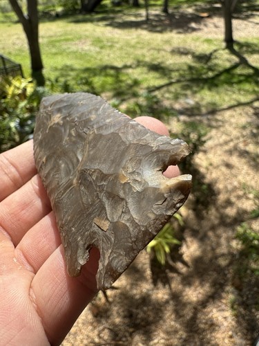 Tennessee Native American Pine Tree Arrowhead Point | eBay