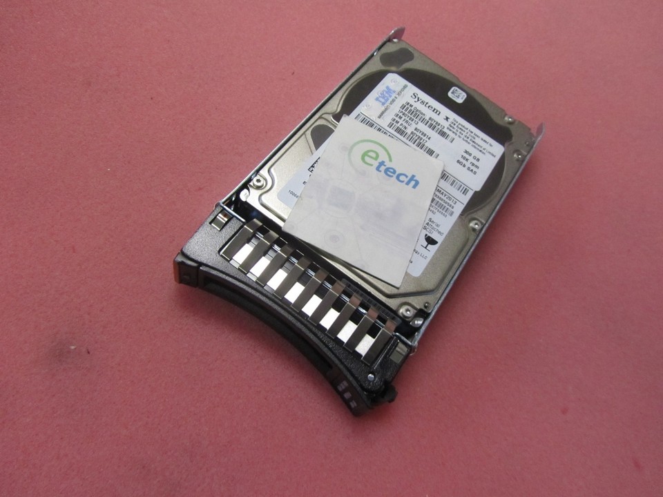 90Y8913 - IBM LENOVO System x 300GB 10K 6Gbps SAS 2.5" SFF G2HS SED ...