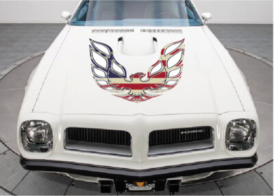 42" X 42" Firebird Car Hood Graphic Decals Sticker 4 Pontiac Trans Am ...