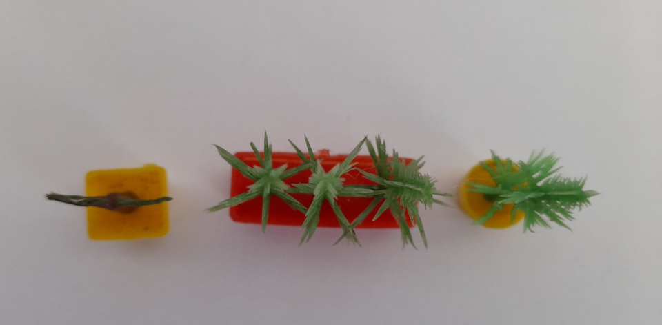 Vintage CAROLINE'S HOME Doll's House Accessories PLANTS - CONIFERS ...