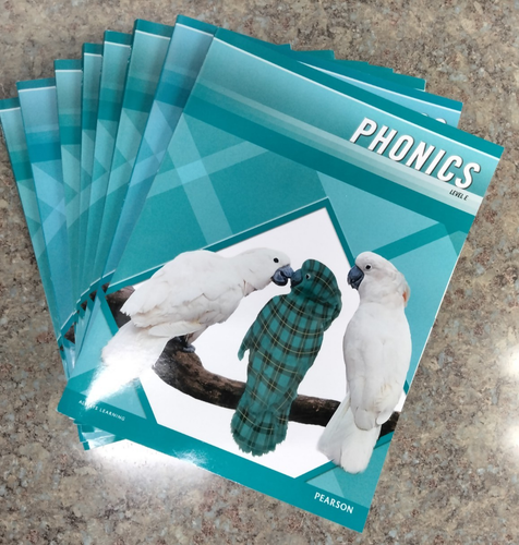 Pearson Phonics Level E Student Workbook | eBay