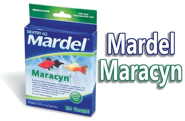 Mardel Maracyn Fritz Antibacteria Fish Medicine Treatment - 24 Pack for ...