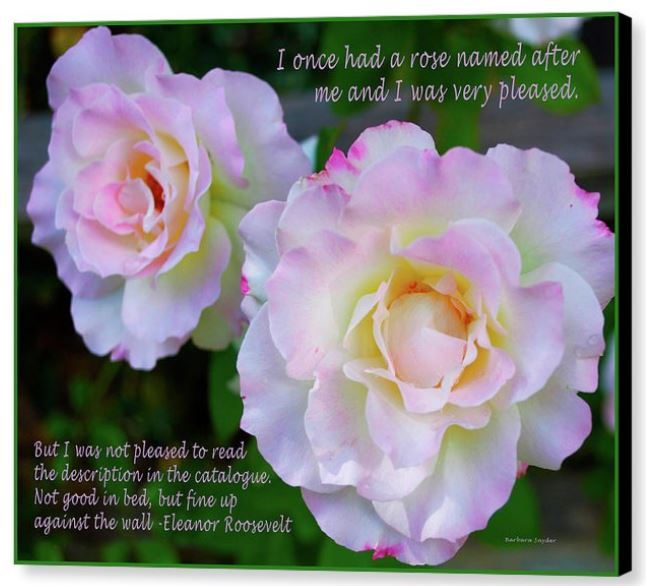 Eleanor Roosevelt Roses by Barbara Snyder Flowers Floral Canvas Giclee ...