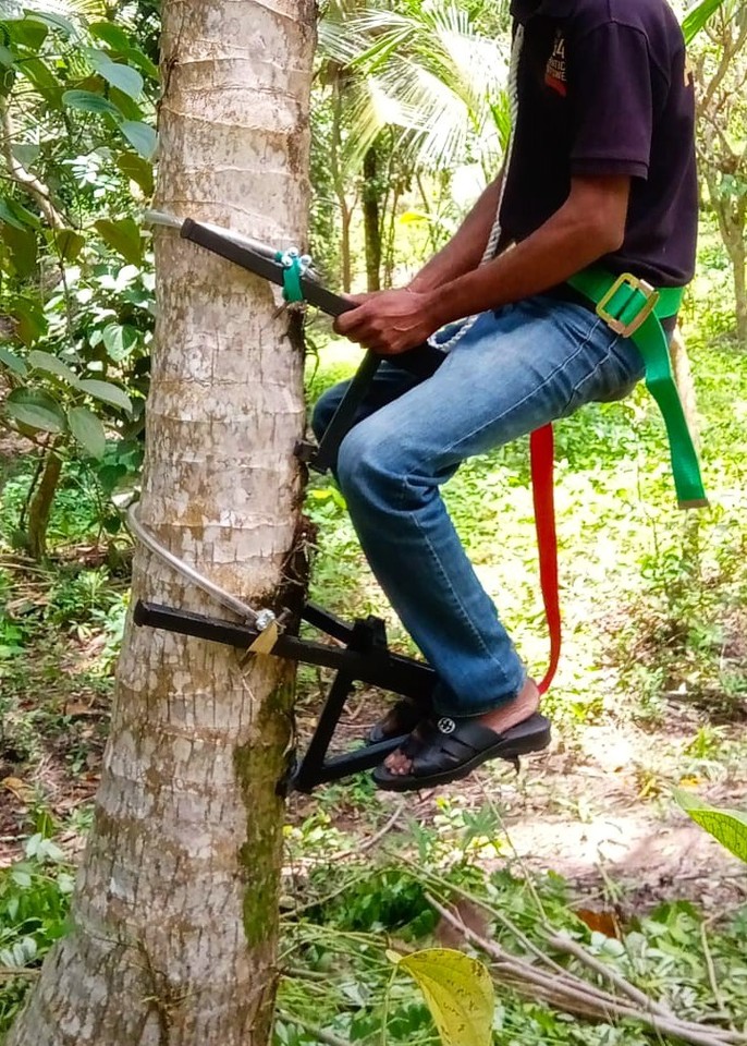 EASY TREE CLIMBER CLIMBING MACHINE TOOL with 100% SAFETY and HIGH ...