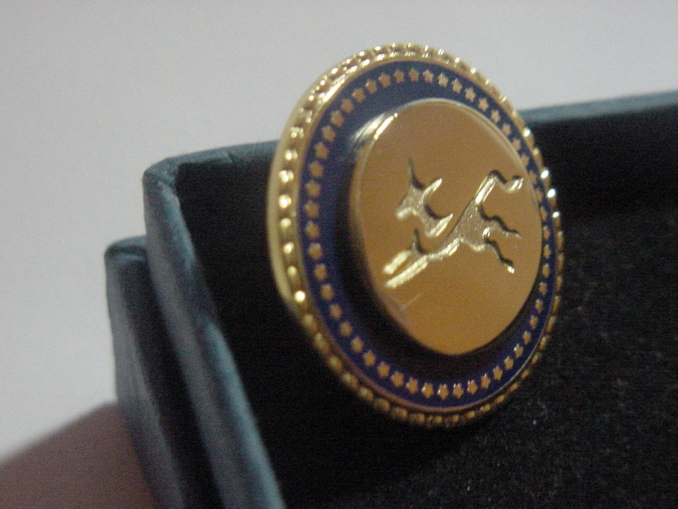 Presidential Democrat Lapel Pin. Free shipping in the US. | eBay