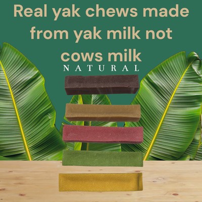 Yak Chew,Chews Treats - Orginal Yaks Milk, Dogs Chew , Himalayan M / L ...