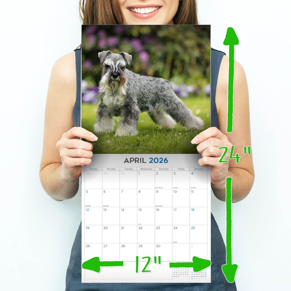 Miniature Schnauzer Calendar 2026 - Dog Breed Wall Calendar - Made in ...