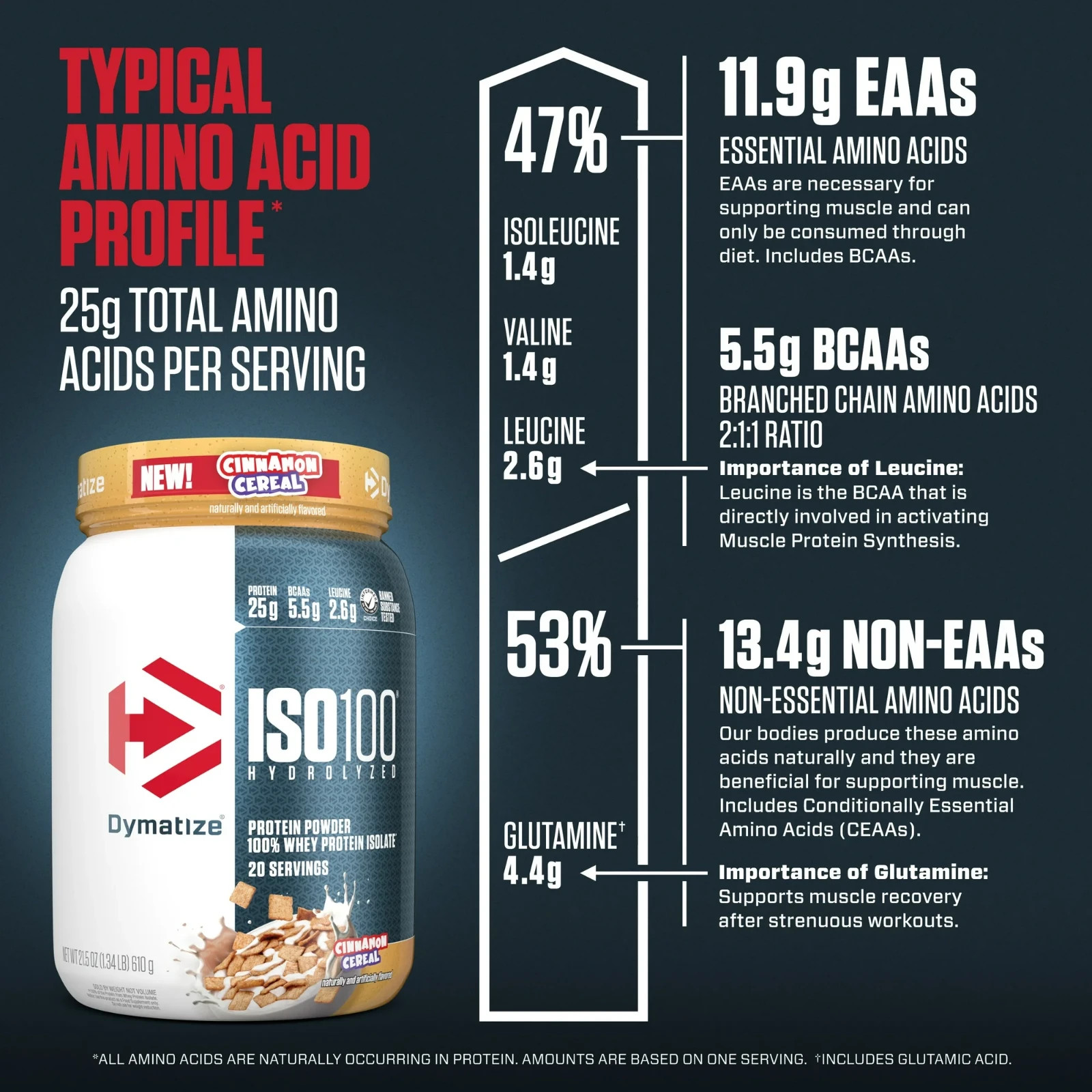 (2 Pack) Dymatize ISO100 Whey Isolate Protein Powder 25g Cinnamon ...