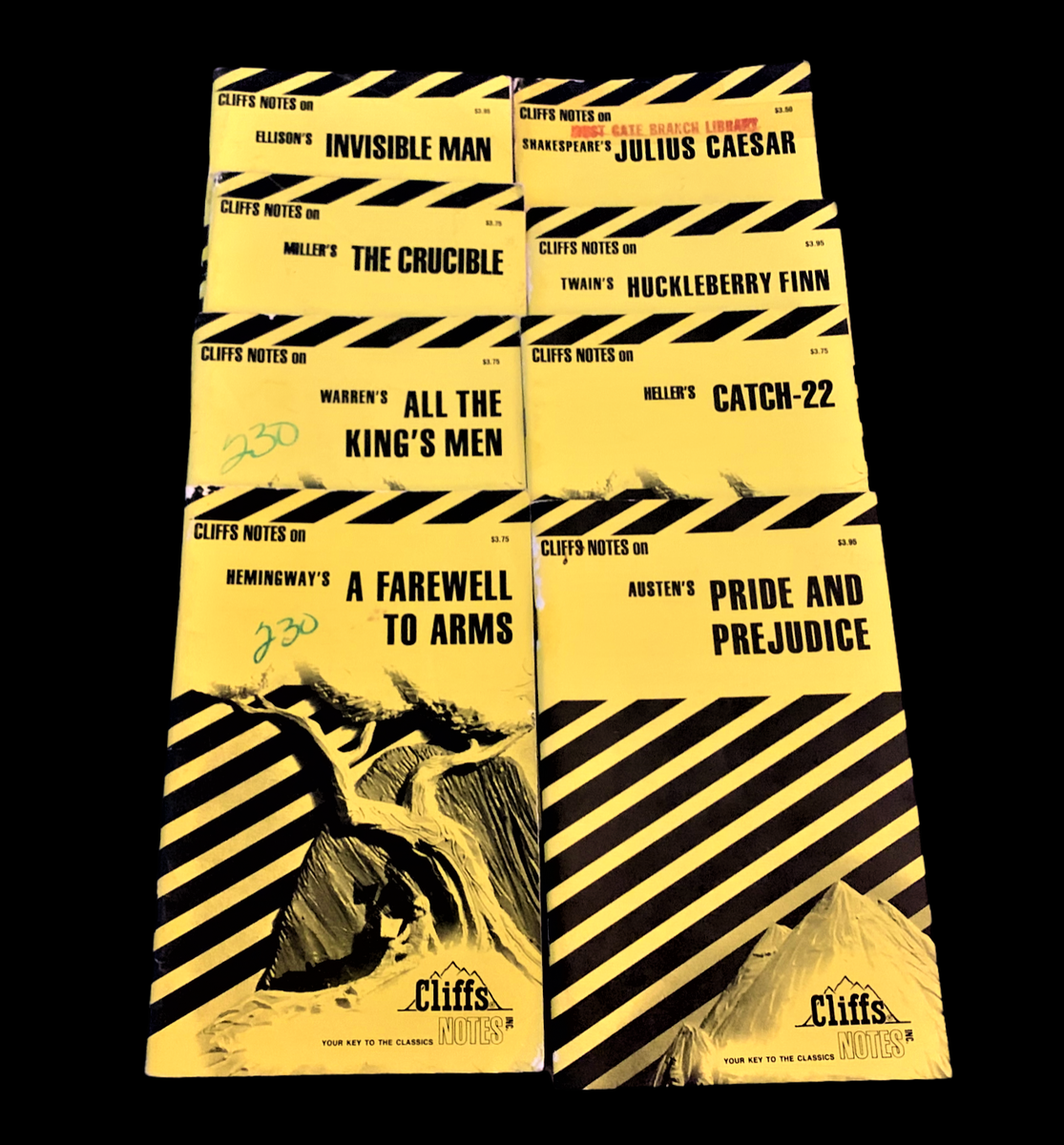 Visual Cliffs Notes Literature Infographics By Course Hero Book The