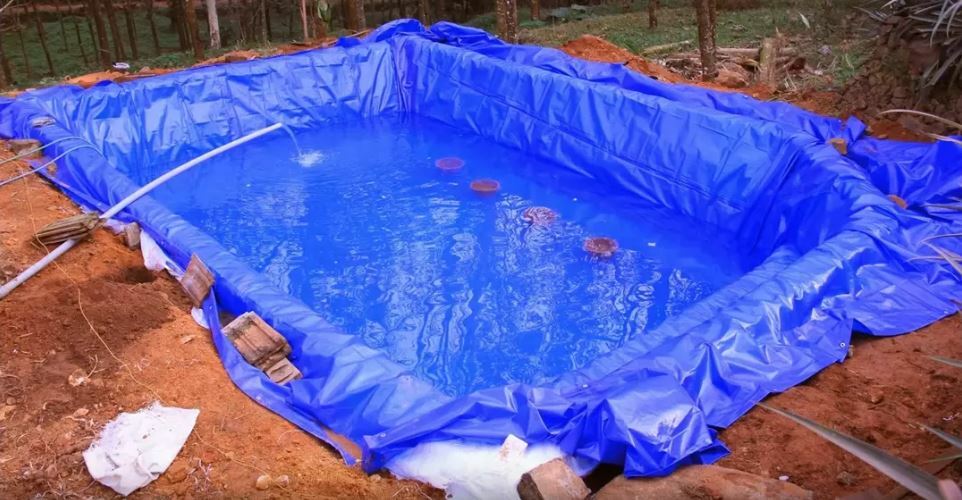 Commercial Fish Pond Design