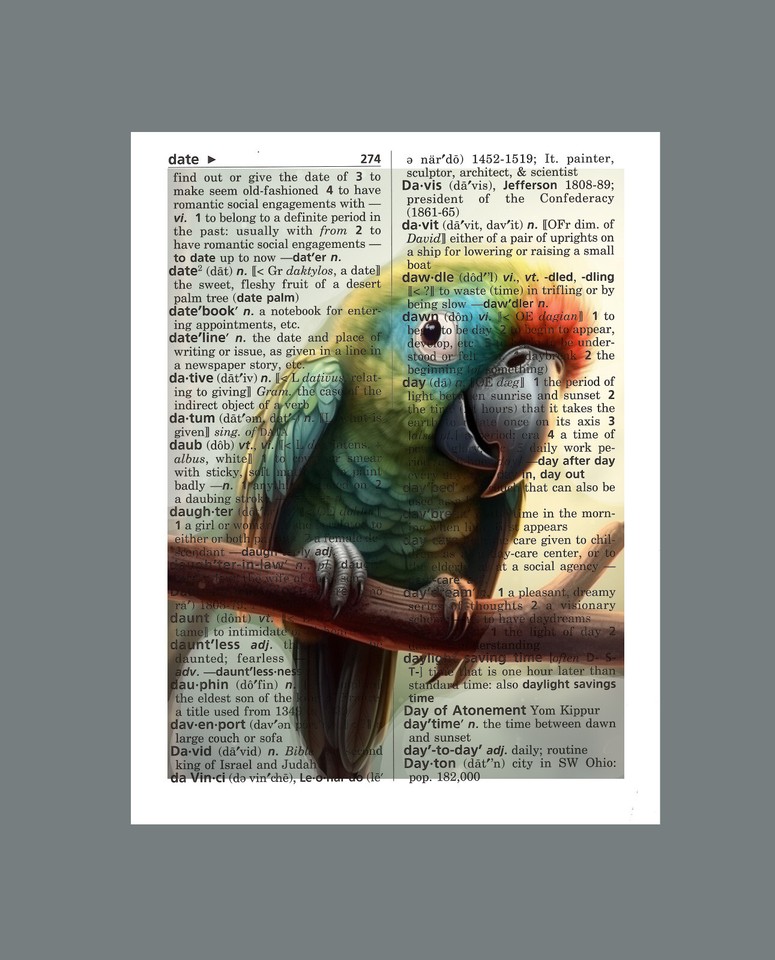 Pretty Parrot Printed on Vintage Dictionary Page Art Print Bird Lovers ...