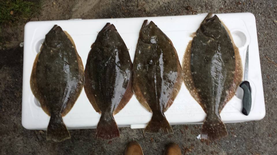 2x HOMEMADE FLUKE FLOUNDER RIGS HOLOGRAPHIC SQUID LURE SEA BASS COD ...