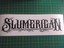Fancy Slumerican Decal for Car, Truck, Window, Laptop or Smooth Surface ...