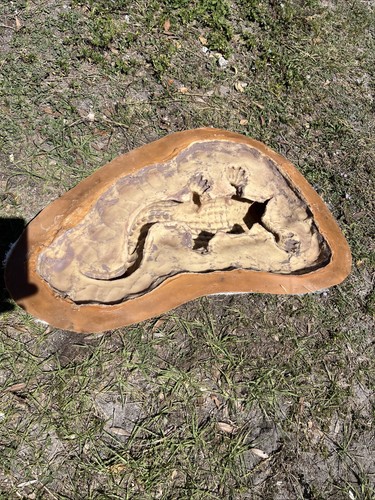 Latex Fiberglass Mold Make Concrete Or Plaster Alligator On Rocks. | eBay