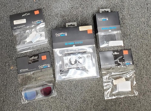 GoPro 3D Hero System and free accessories | eBay