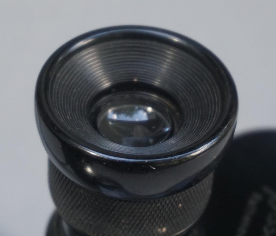 Original German WWII Era 6x30 Binoculars (Dienstglas) By Busch Rathenow ...