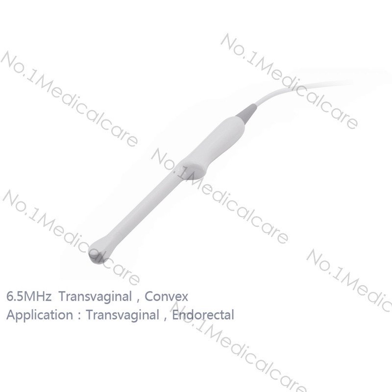 Transvaginal Ultrasound Tool 20 Ultrasound Wand Stock Photos, High Res