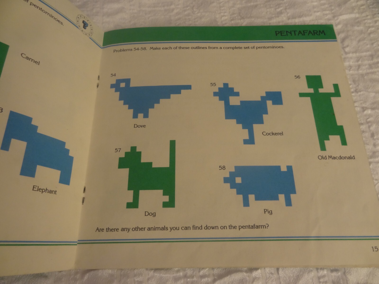 Pentominoes: Puzzle Shapes to Make You Think by Millington, Jon ...