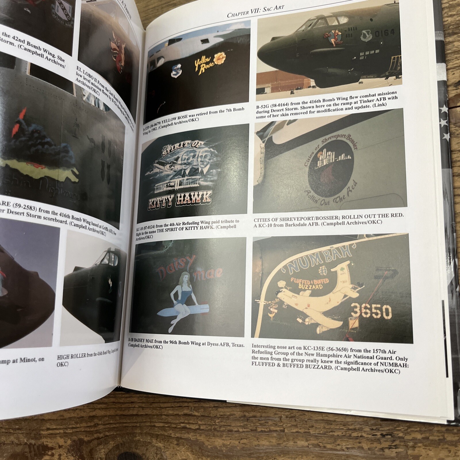 Peace Was Their Profession : Strategic Air Command: a Tribute by Mike ...