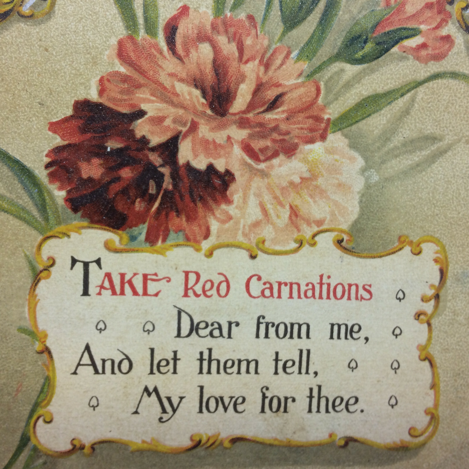 Vtg Postcard Red Carnation Affection Greeting Poem 1909 | eBay