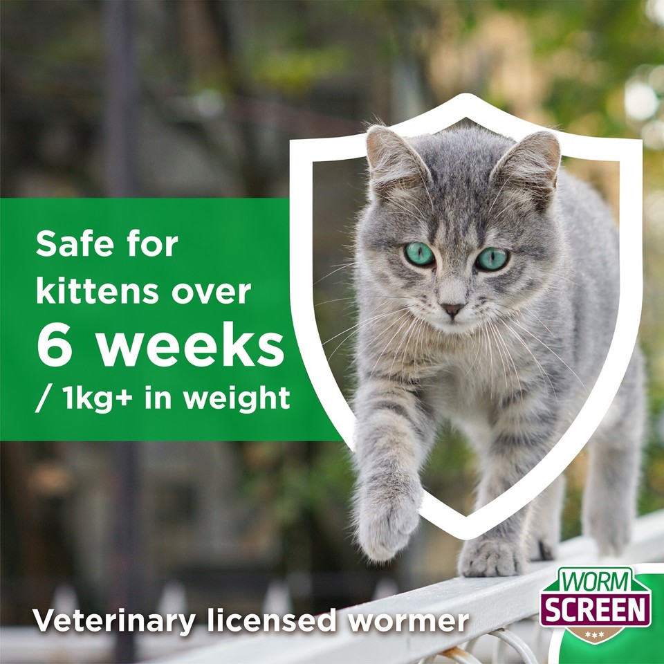 WORM SCREEN Cat: Worming Tablets for Cats & Kittens over 6 weeks old ...