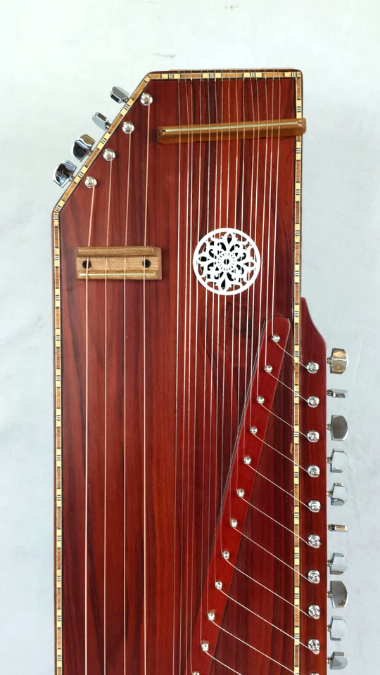 Musical String Instrument Professional Drone Sound 2 InOne ...