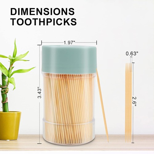 Bamboo Wooden Toothpicks [3000 Count]-With 2-Pack Reusable Toothpick ...