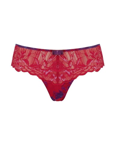 Triumph Beauty-Full Hipster Brief Semi Sheer Lace Briefs Knickers ...