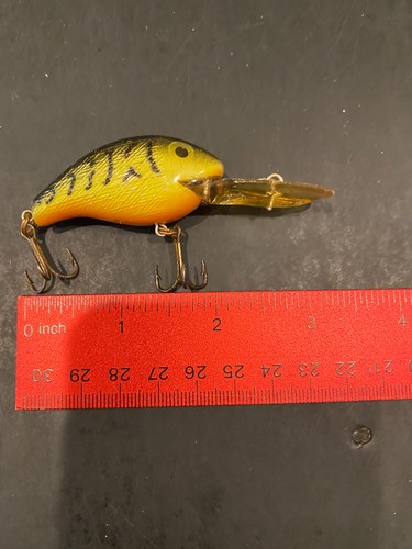 Rebel Deep Wee R Black Chart Tiger Orange Belly | eBay