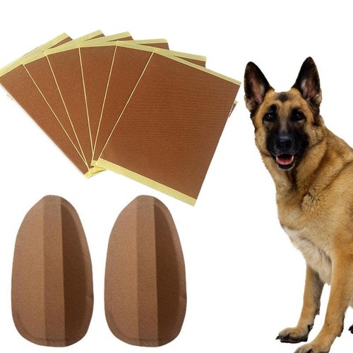 Dog Ear Stand up Sticker Fixed Support German Shepherd Dog Ear Raise ...