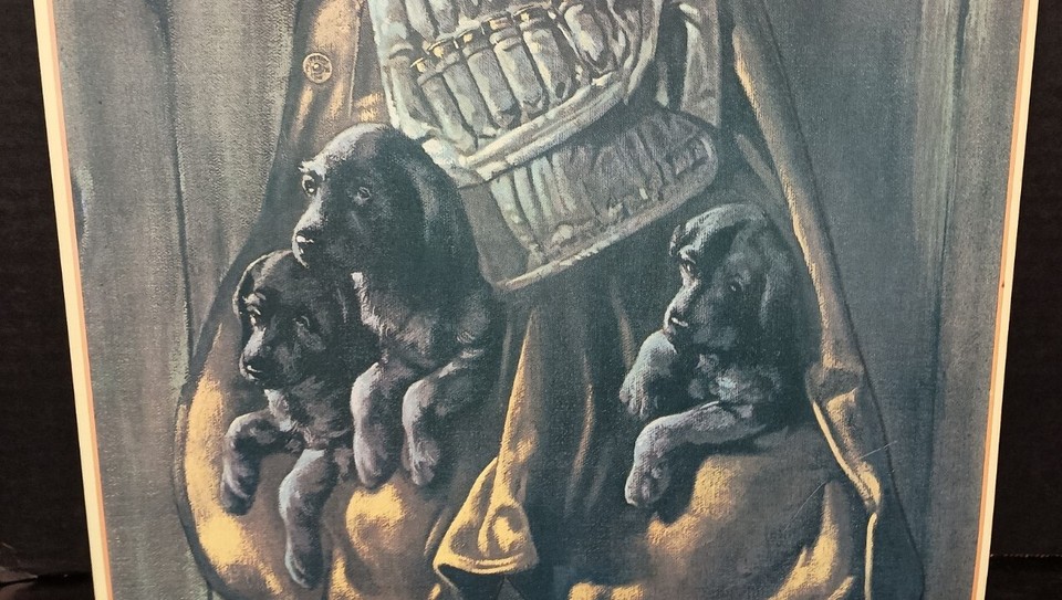 Vtg Peters True Blue Shot Shells Metal Sign Blk Lab Puppies MCM ...