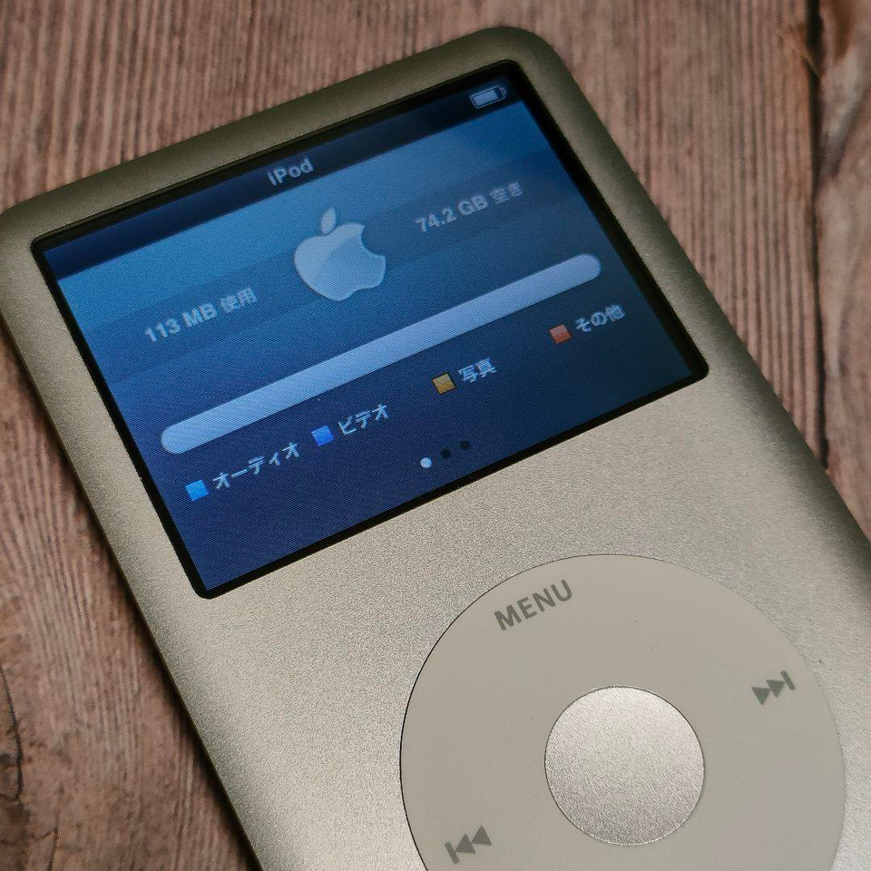 Apple iPod Classic 80GB Silver early 6th generation model Working Used ...