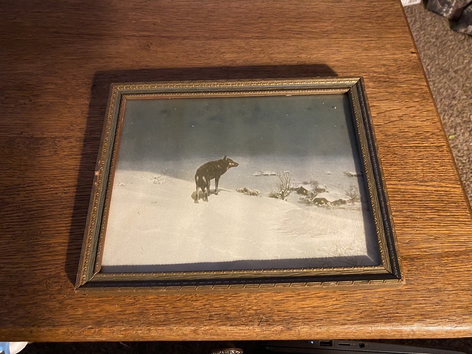 Vintage Lone Wolf Print with Wooden Frame~Lovely Print from Days Gone ...