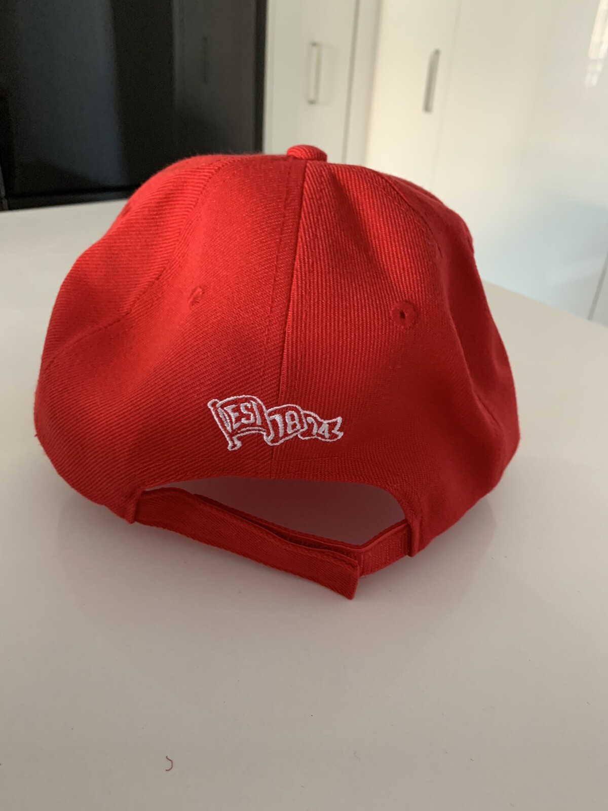 Sydney swans afl cap | eBay