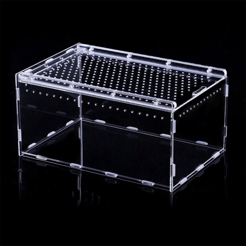 Acrylic Terrarium Insect Tarantulas Enclosure-Tanks Snail Habitat | eBay