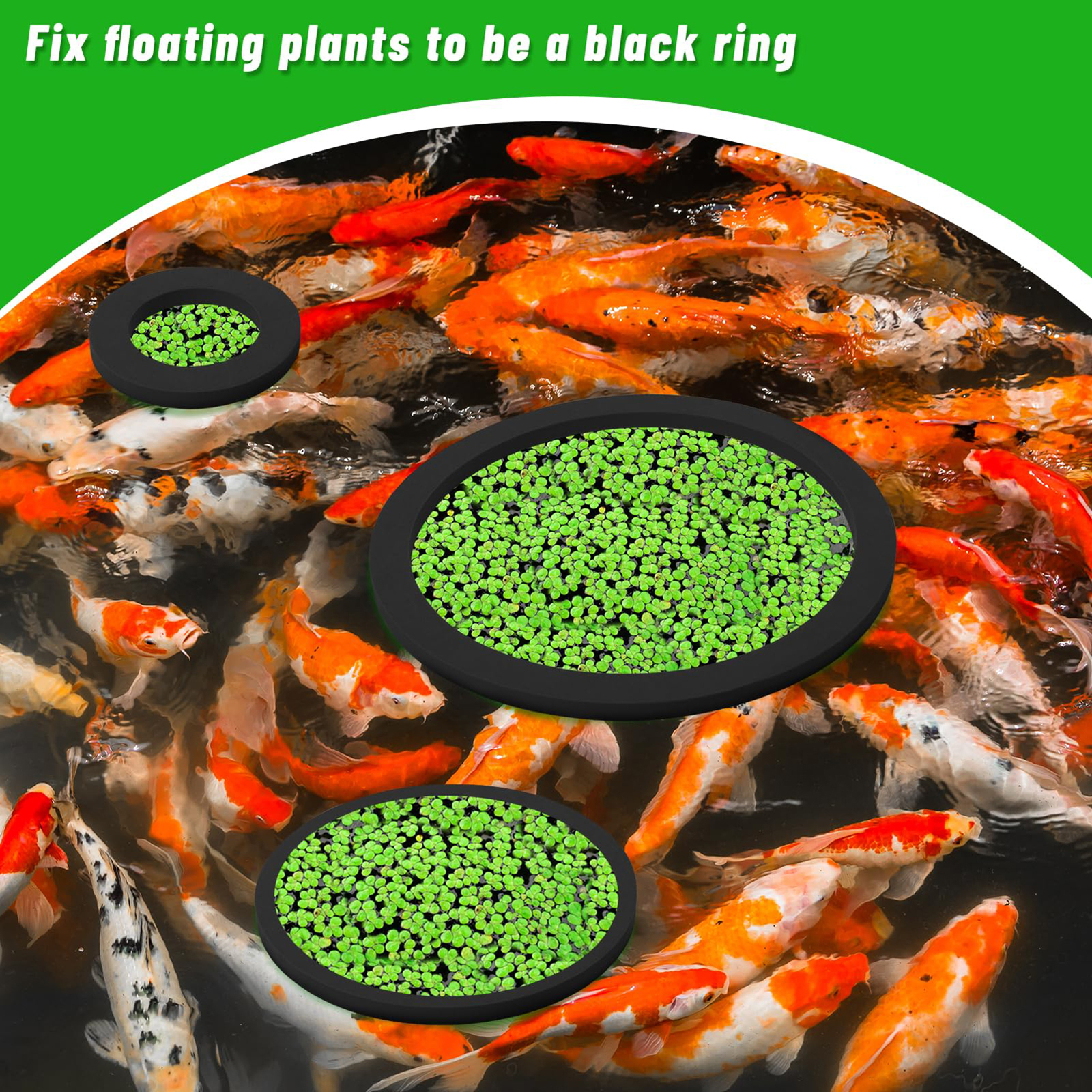 Lightweight Floating Ring for Aquatic Plants Turtle Tank Plant Aquarium ...