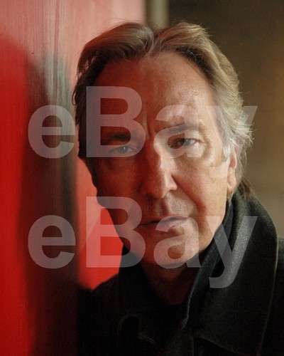 Alan Rickman Photoshoot 10x8 Photo | eBay