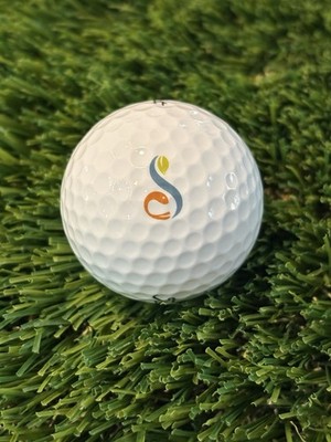 Streamsong Resort Logo Golf Ball- Bowling Green Florida FL | eBay