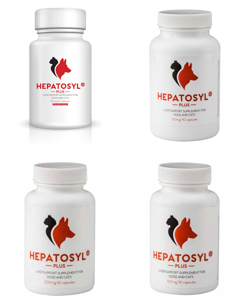 Hepatosyl Plus Liver Support Supplement For Pets Cats & Dogs All Sizes ...