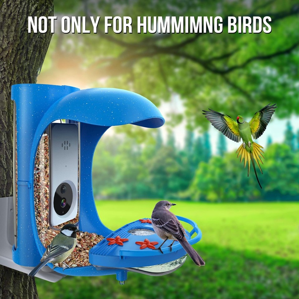 BirdDock Hummingbird Smart Bird Feeder Camera AI Recognition Christmas ...