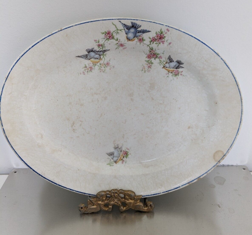 Antique Bluebird Pattern Wellsville China Co Platter Sweet | eBay