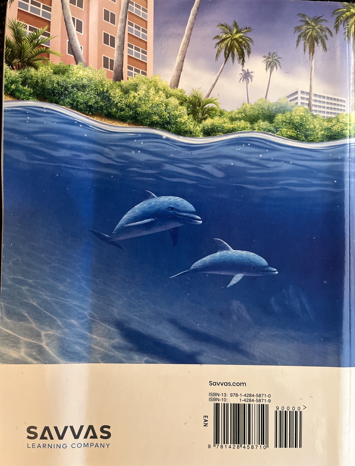 Grade 4 Envision Florida B.E.S.T. Mathematics Additional Practice ...