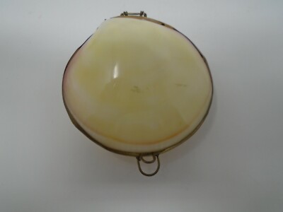 Vintage Polished Clam Shell Brass Hinge Trinket Box | eBay