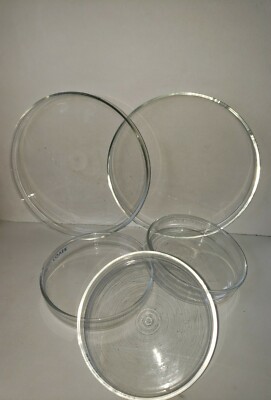 Lab Glassware - Pyrex Petri Dishes